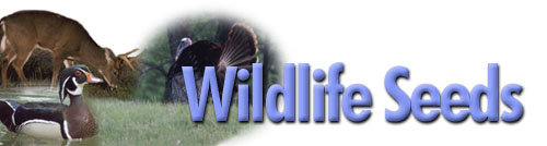 Wildlife Seeds at cooperseeds.com