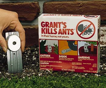Ants - Do It Yourself Pest Control at cooperseeds.com