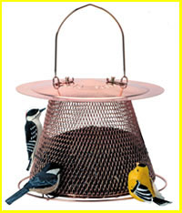 Copper Clad No/No Bird Feeder at cooperseeds.com