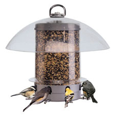 Super Carousel Feeder at cooperseeds.com