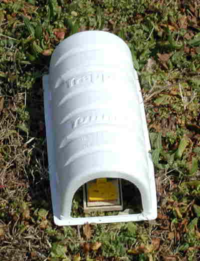 Shrew - Do It Yourself Pest Control at cooperseeds.com