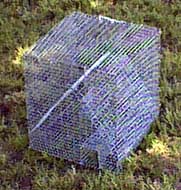 Live Animal Traps at cooperseeds.com