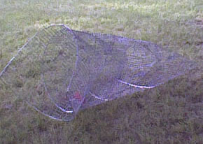 14a. Heavy Duty Commercial Fish Trap w/ Double Funnel at cooperseeds.com