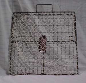 Live Animal Traps at cooperseeds.com