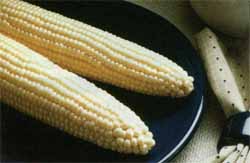 Vegetable Seeds at cooperseeds.com