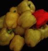 Bianca Pepper at cooperseeds.com